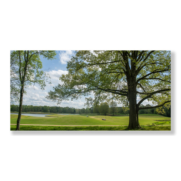 Hampton Cove Golf Course Wall Decor | Landscape Photography - HSV and ...